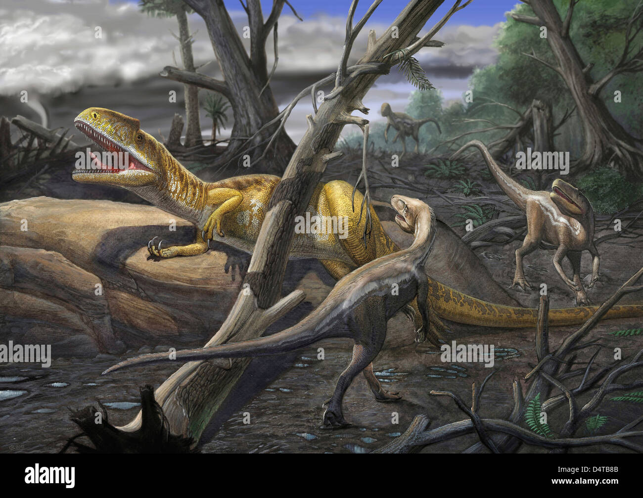 Eotyrannus Eotyrannus, Photos |information Dinosaur Gallery