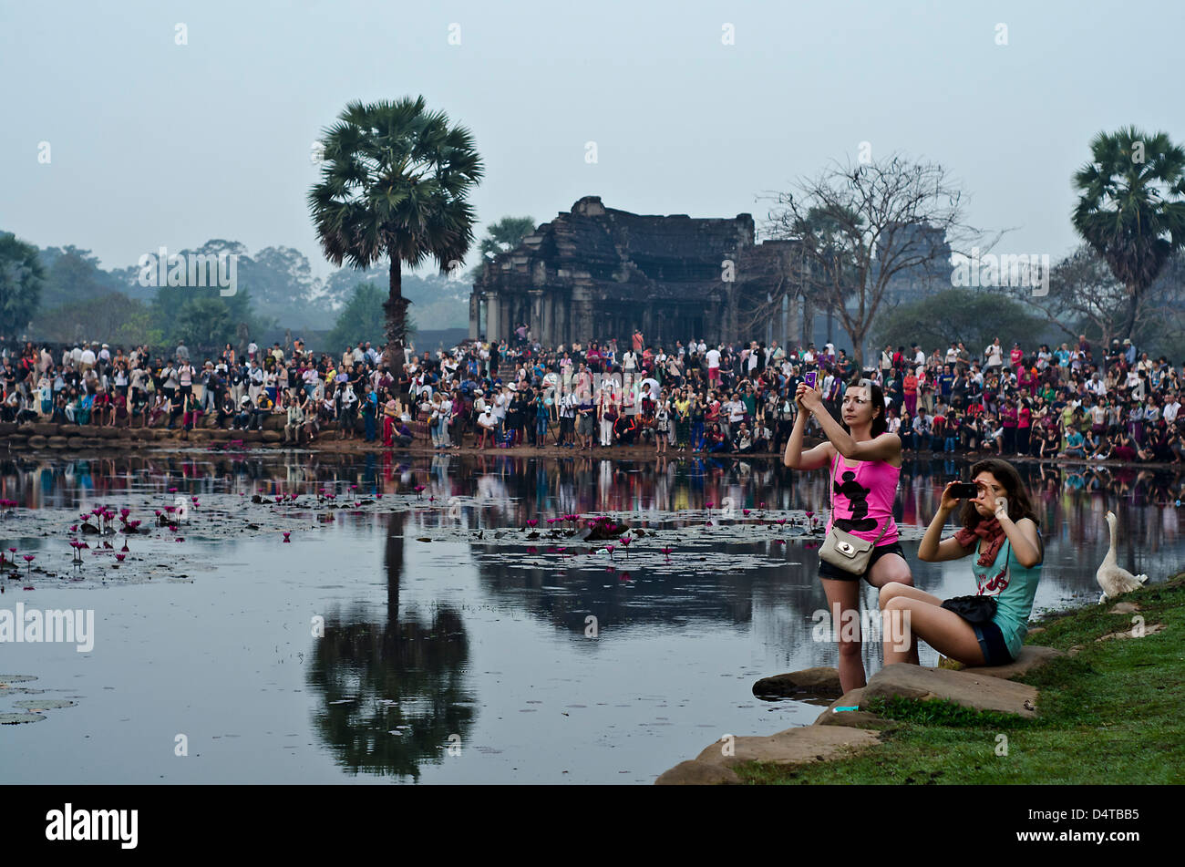 Tourist in the front of Angkor Watt temple during sunrise Stock Photo ...