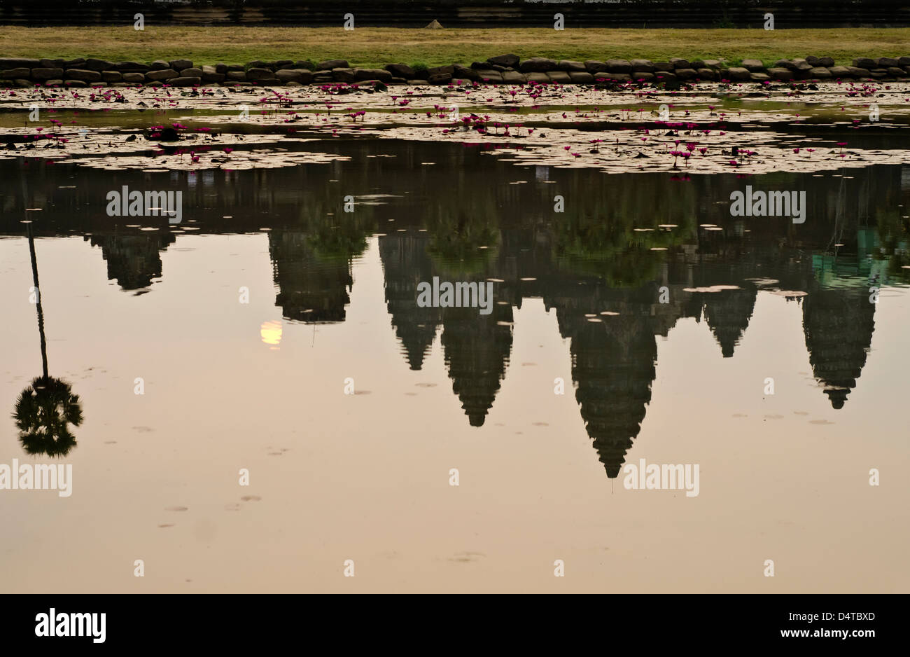 Angkor Wat temple water reflection at sunrise Stock Photo - Alamy