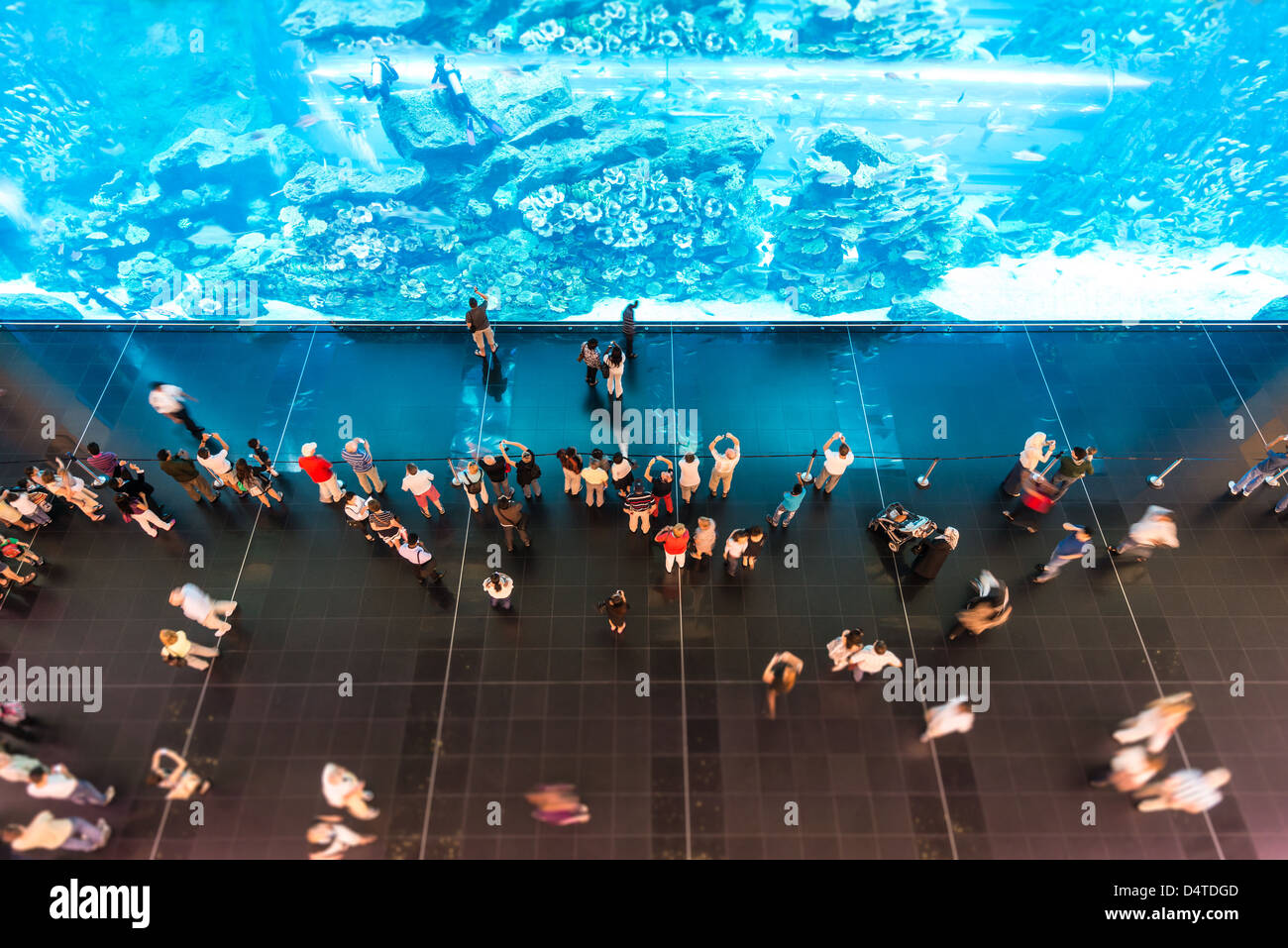 Lots of people watching huge aquarium with clear blue water, sea ...