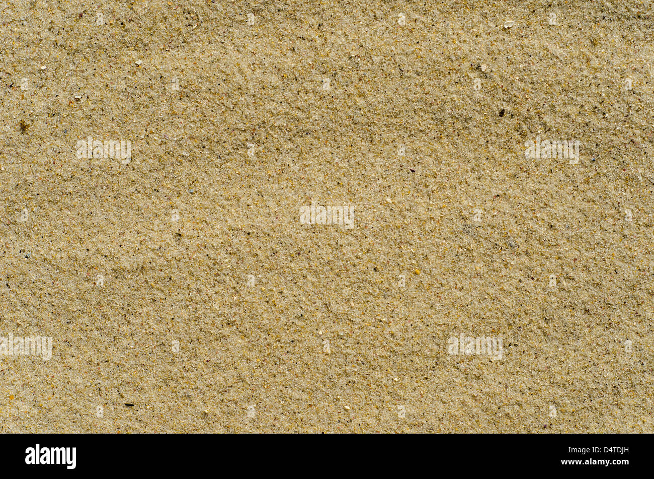 sand closeup as texture Stock Photo - Alamy