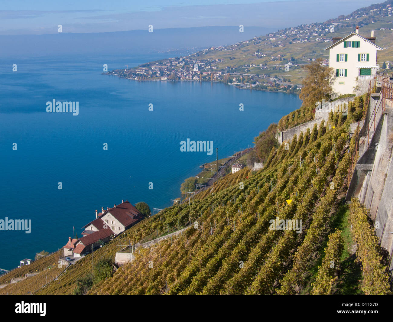terrasse de lavaux,epesses,vaud,suisse Stock Photo - Alamy