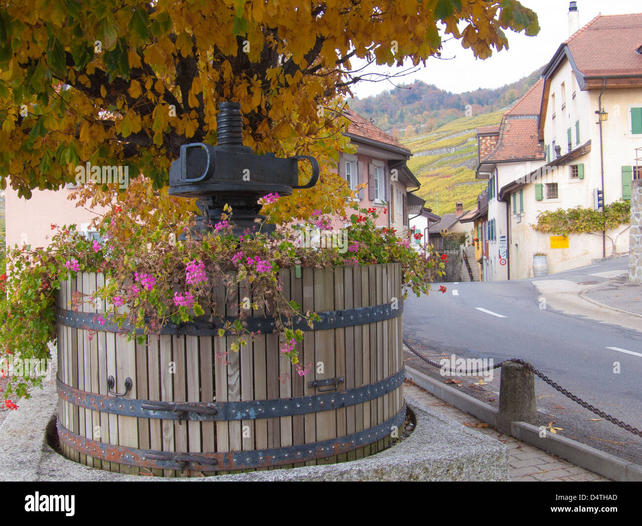terrasse de lavaux,epesses,vaud,suisse Stock Photo - Alamy