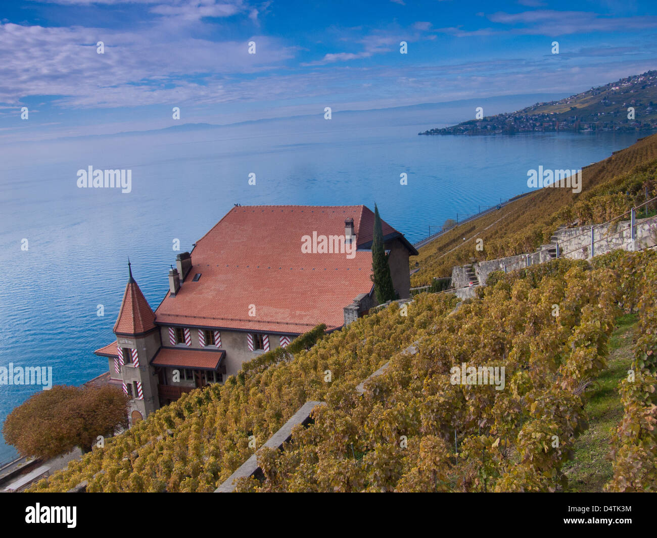 Rivaz suisse hi-res stock photography and images - Alamy
