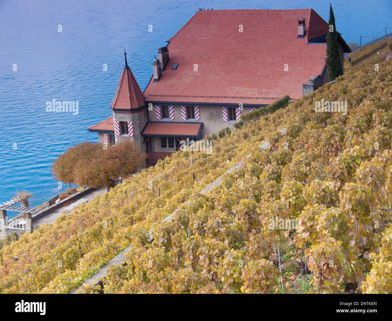 Rivaz suisse hi-res stock photography and images - Alamy