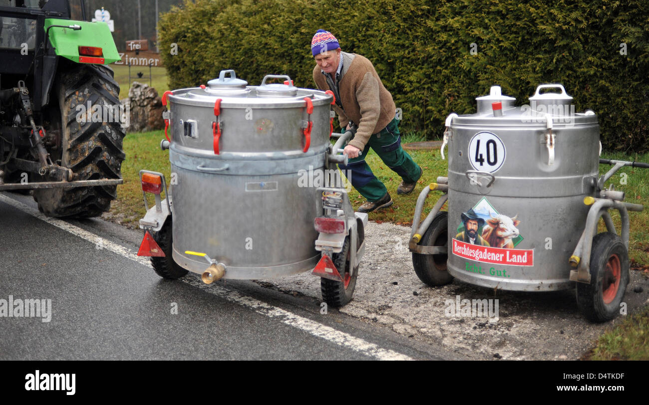 A dairy farmer delivers milk to the dairy factory Berchtesgadener Land ...