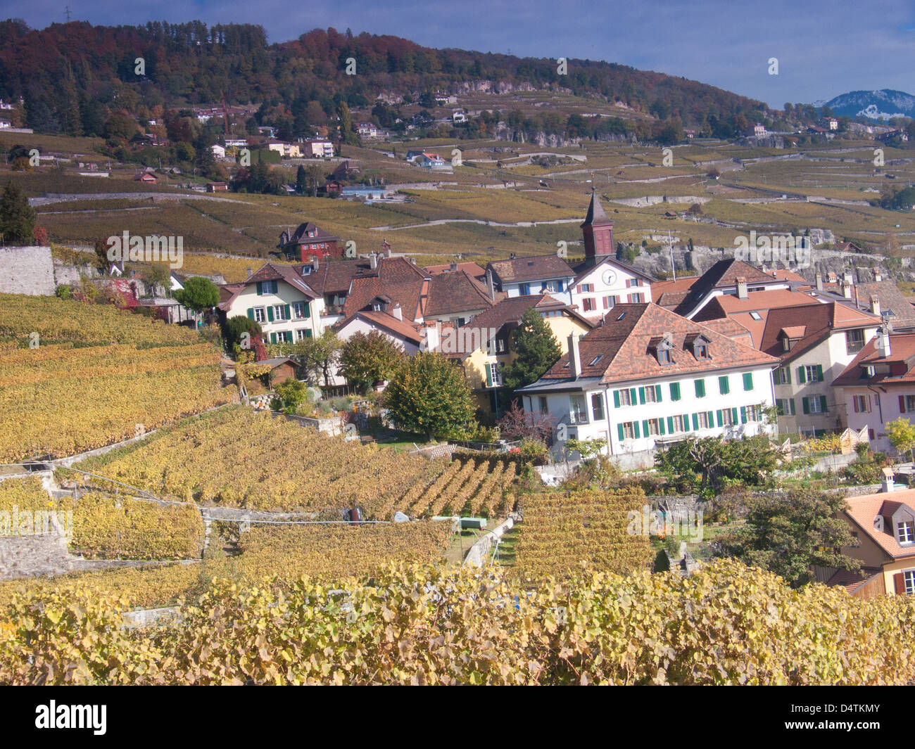 Rivaz suisse hi-res stock photography and images - Alamy