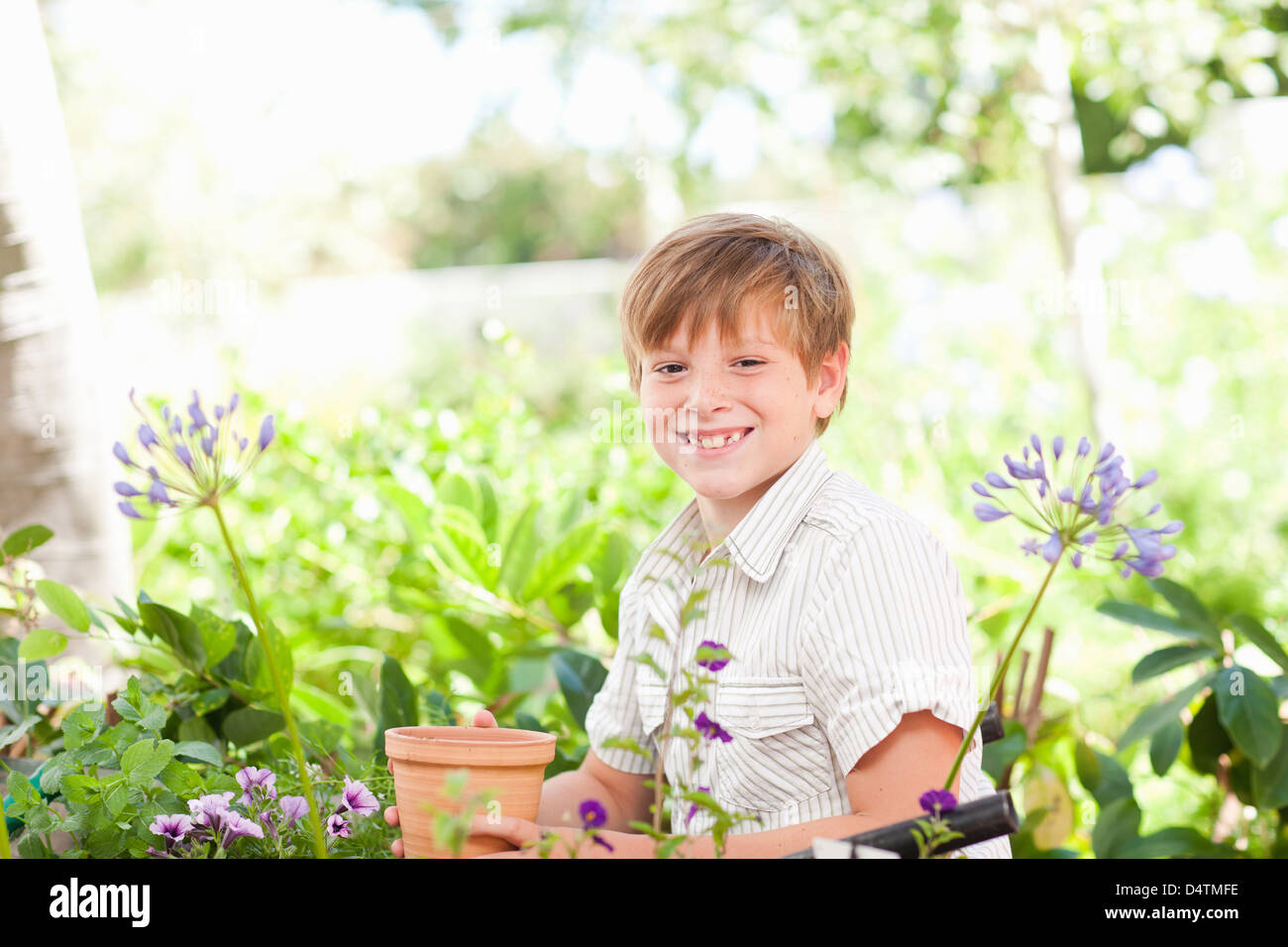 Boy potting plants outdoors Stock Photo - Alamy