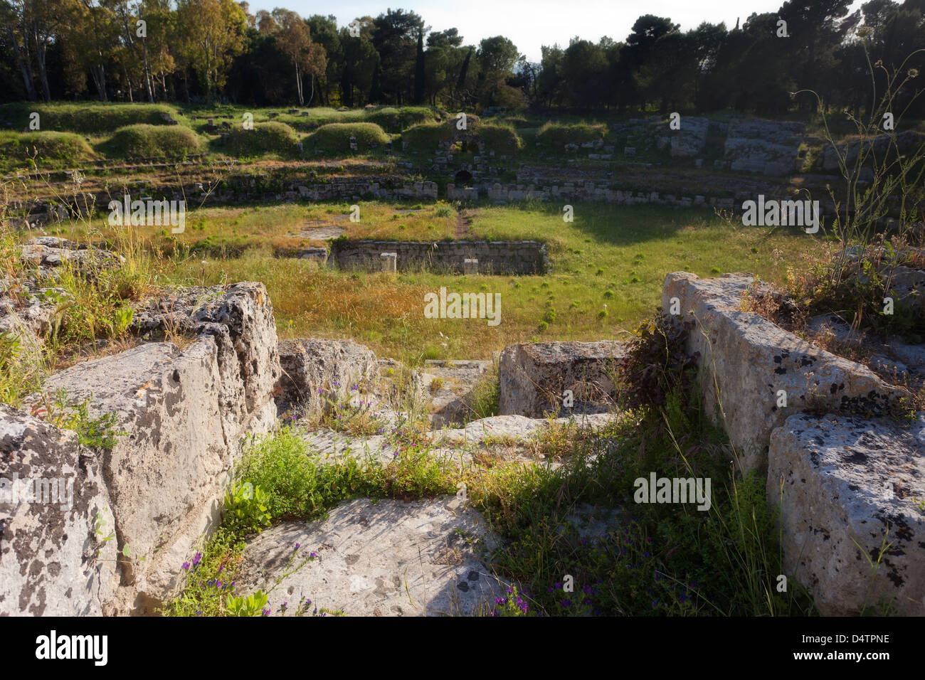 Syracuse, Roman amphitheater Stock Photo - Alamy