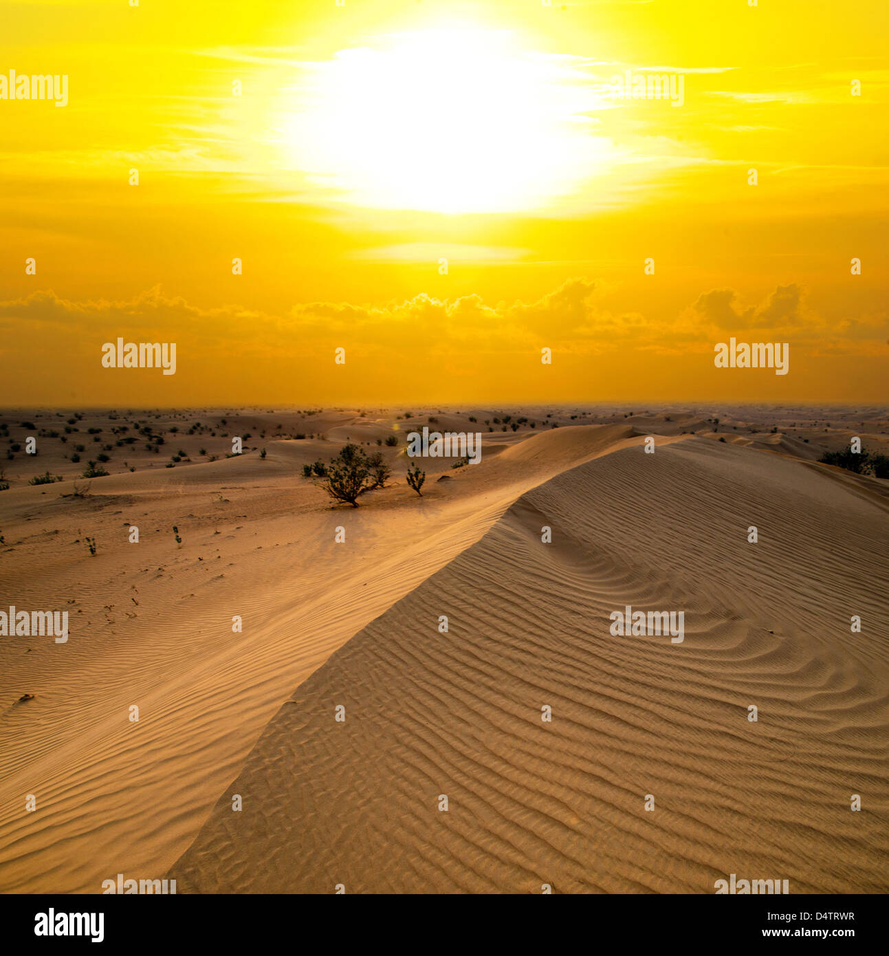 Desert landscape with sky Stock Photo - Alamy