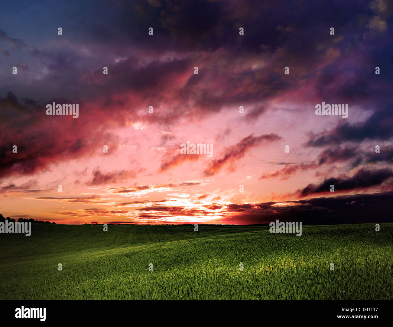 dark clouds over field with grass Stock Photo - Alamy