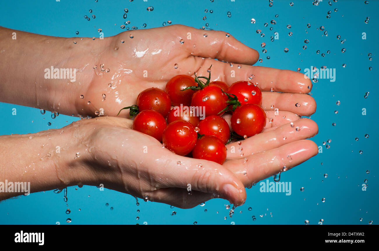 Handful of tomatoes under shower Stock Photo - Alamy