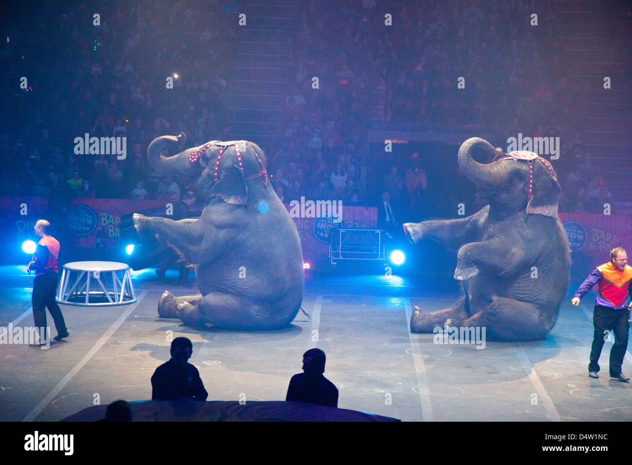 Ringling Bros and Barnum Bailey circus elephants Stock Photo - Alamy