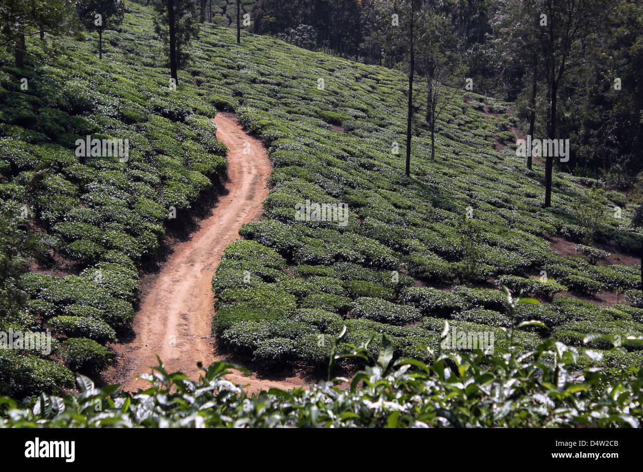 Wayanad hi-res stock photography and images - Alamy