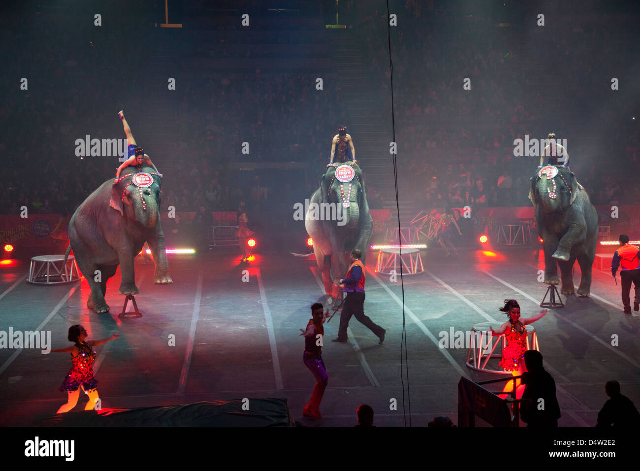 Ringling Bros and Barnum Bailey circus elephants Stock Photo - Alamy