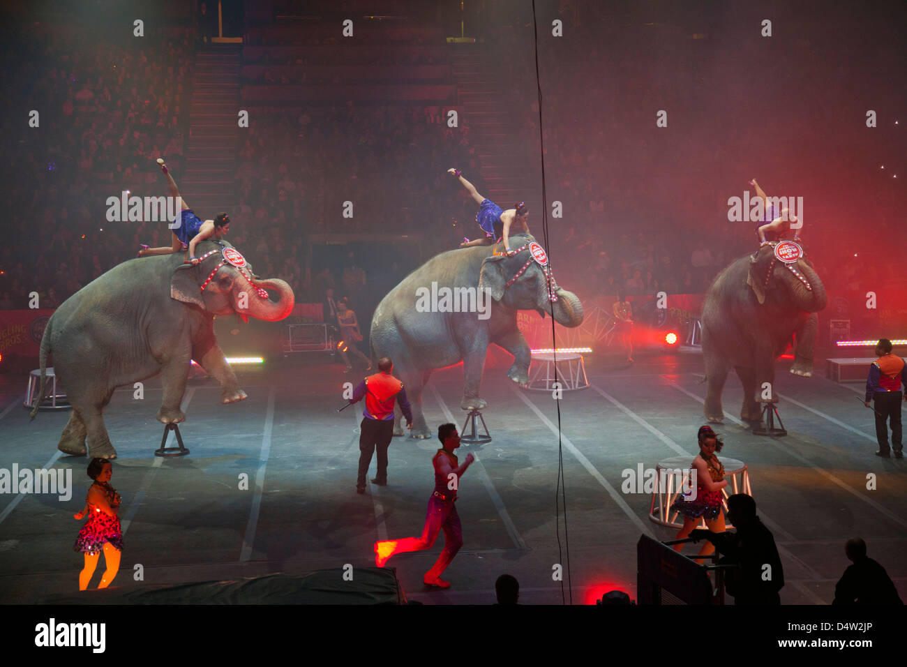 Ringling Bros and Barnum Bailey circus elephants Stock Photo - Alamy