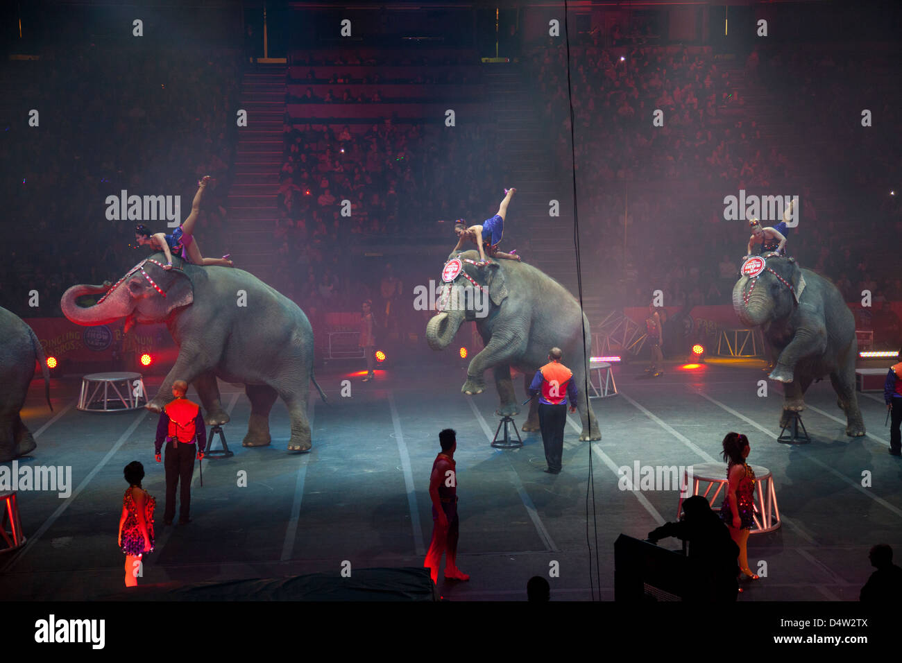 Ringling Bros and Barnum Bailey circus elephants Stock Photo - Alamy