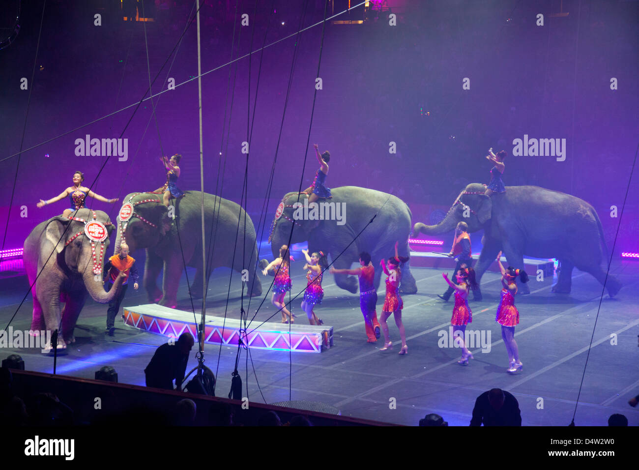 Ringling Bros and Barnum Bailey circus elephants Stock Photo - Alamy