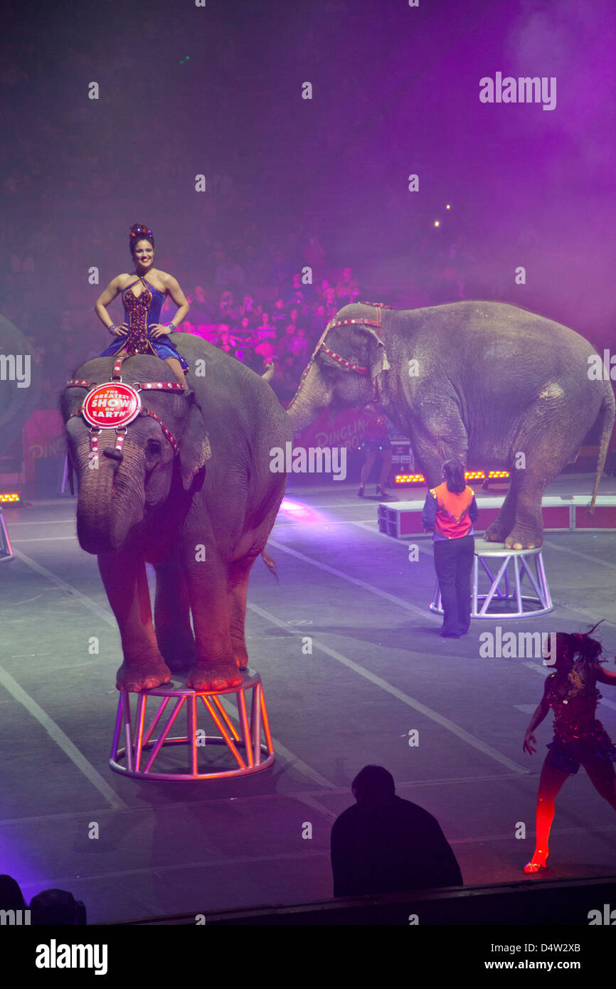 Ringling Bros and Barnum Bailey circus elephants Stock Photo - Alamy