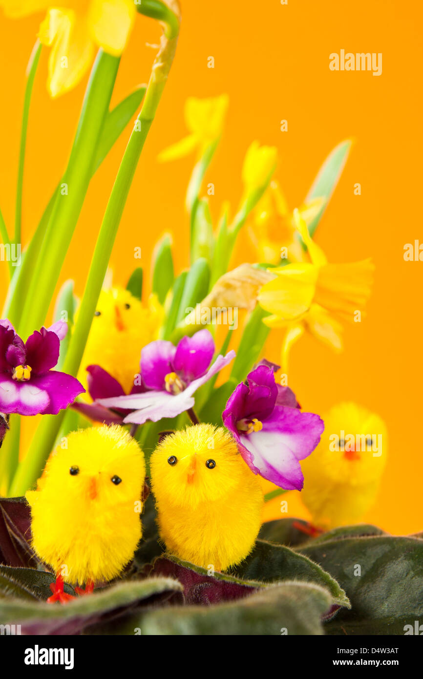 Easter Chicks on Flower Stock Photo - Alamy