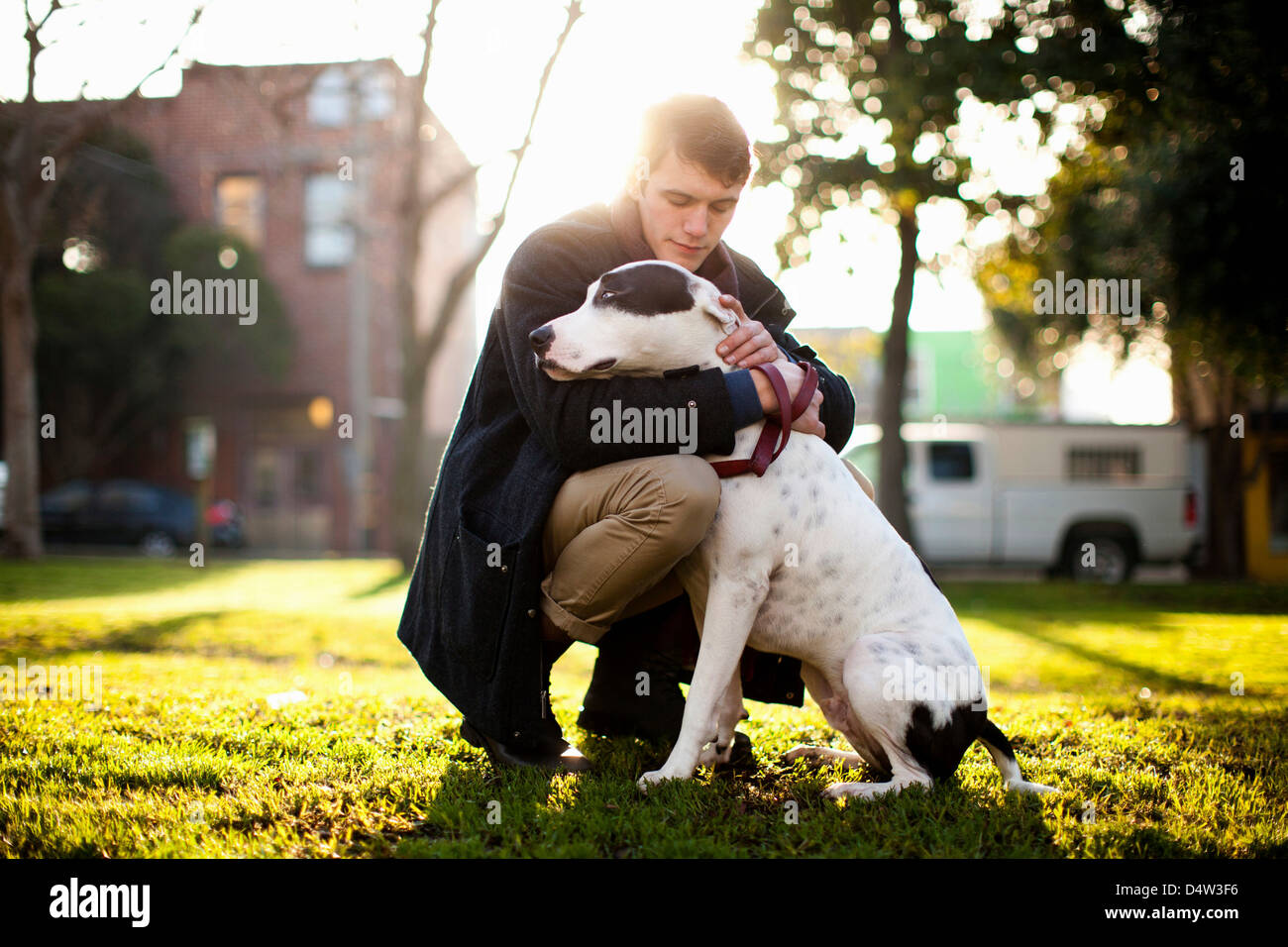 Man hugging dog in park Stock Photo - Alamy