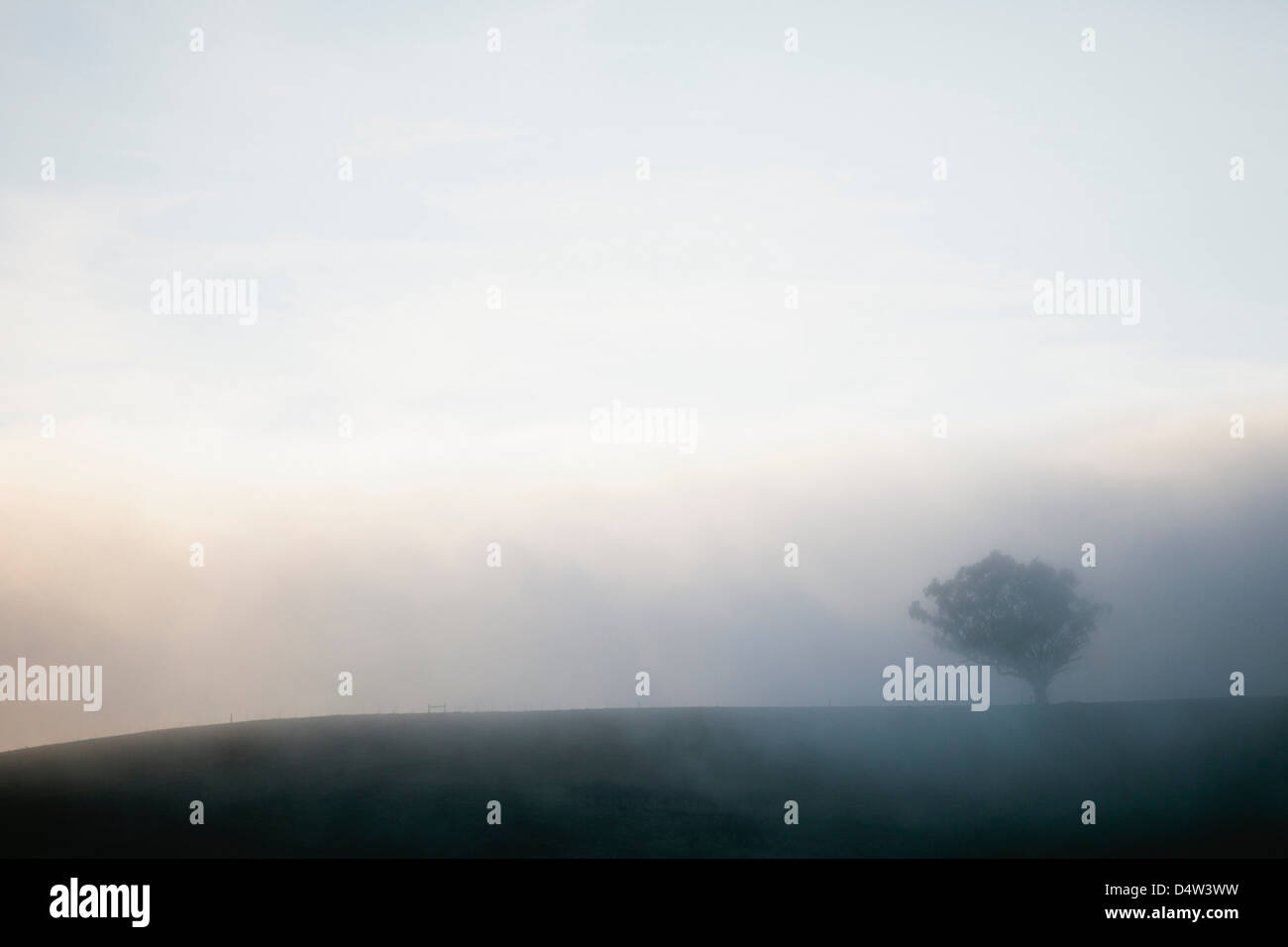 Rolling tree hi-res stock photography and images - Alamy