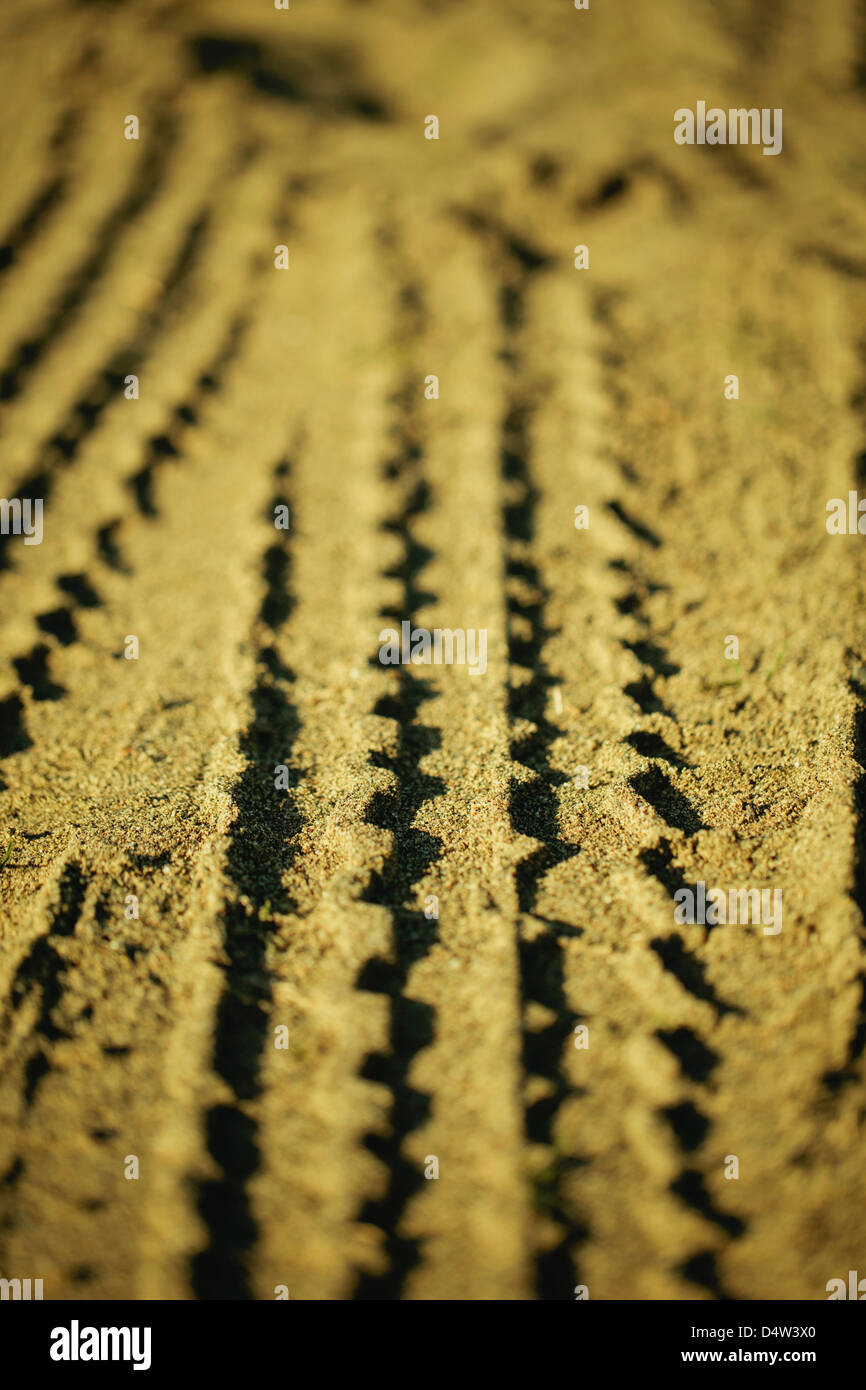 Tire tracks in sand hi-res stock photography and images - Alamy