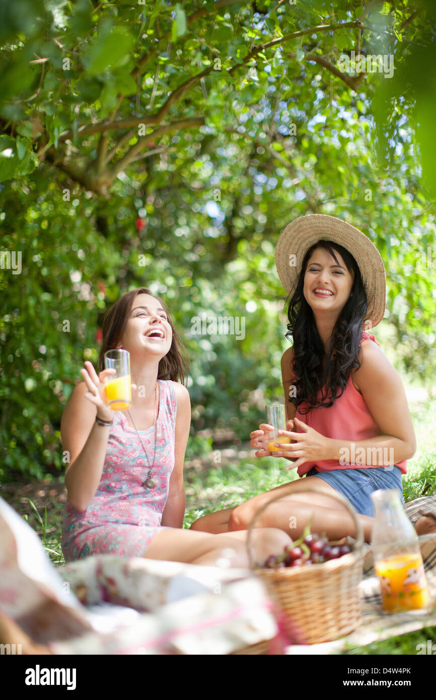 Women picnicking together in park Stock Photo - Alamy