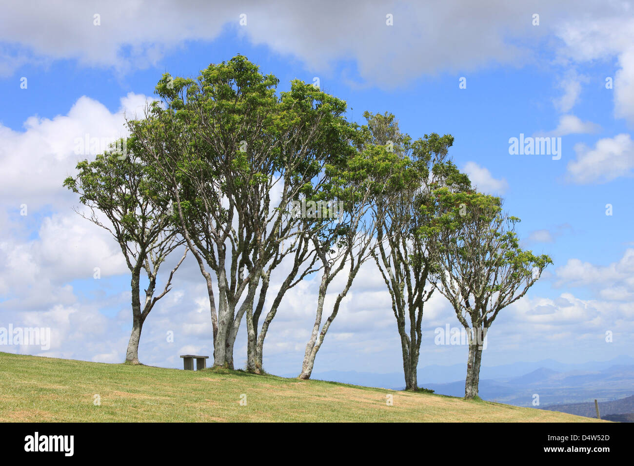A nice blue and green landscape taken in the Gold Coast Hinterland ...