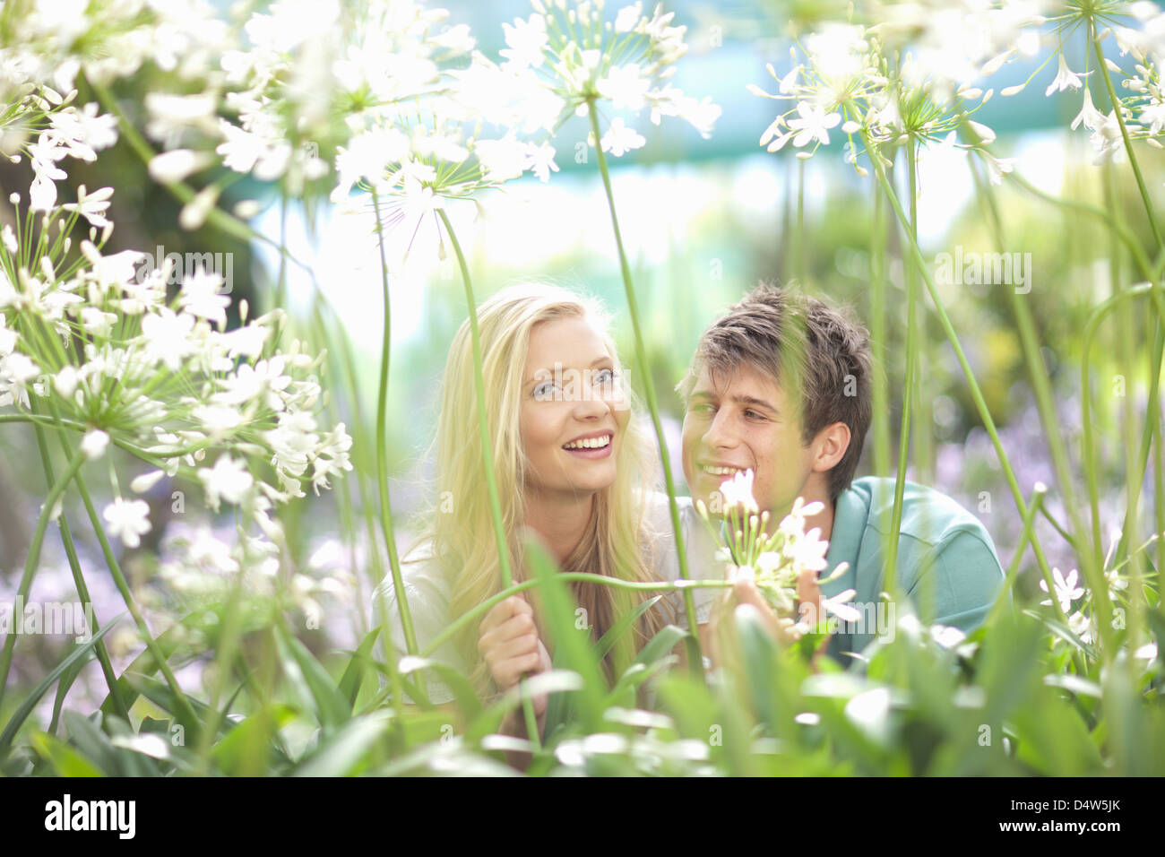 Tall plants hi-res stock photography and images - Alamy
