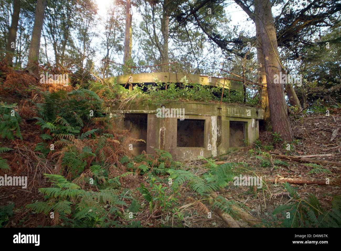 Abandoned war bunker Stock Photo - Alamy