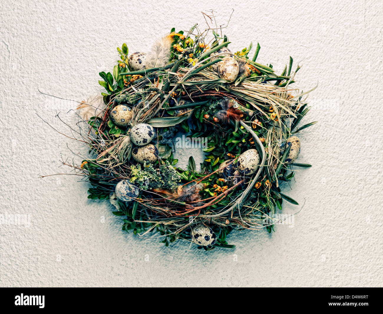 Stones and plants in wreath shape Stock Photo - Alamy