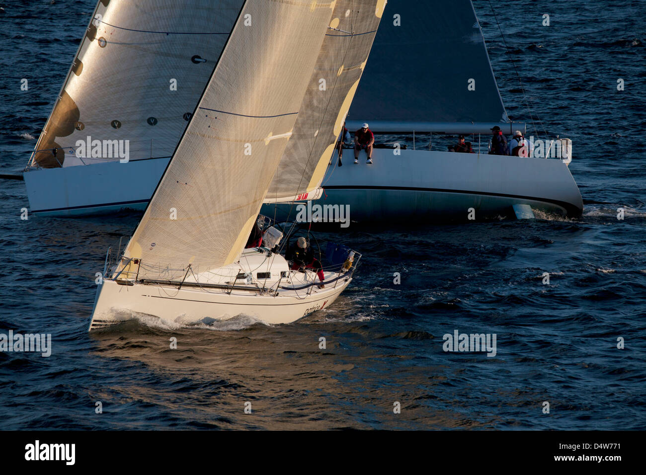 Yachts racing on sydney harbor hi-res stock photography and images - Alamy