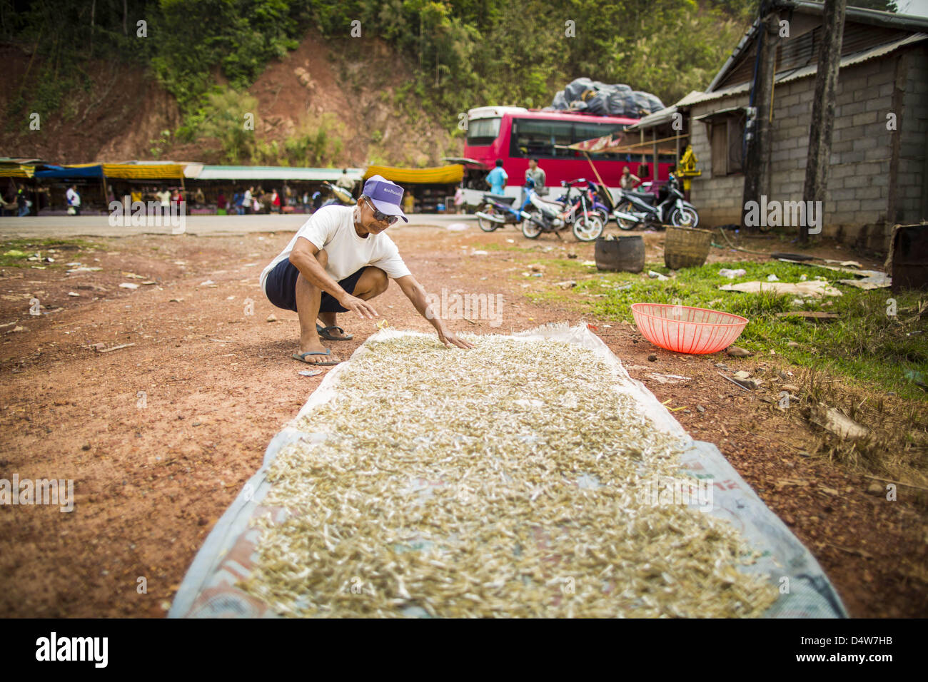 Dry fish center hi-res stock photography and images - Alamy
