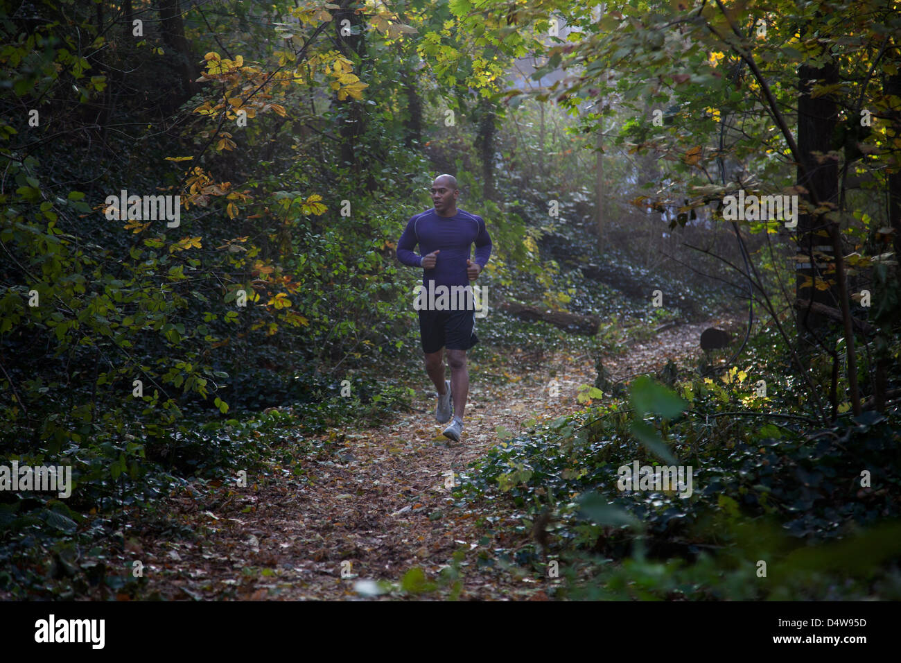 Runner on forest trail Stock Photo - Alamy
