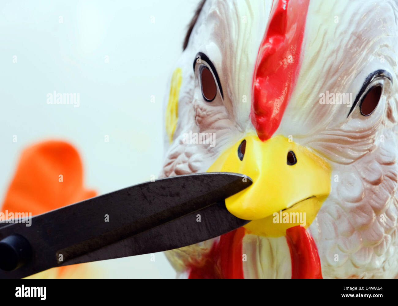 With oversized scissors, a man imitates to cut off the beak of a model ...