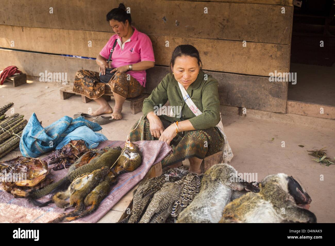 Us 15 bus hi-res stock photography and images - Alamy