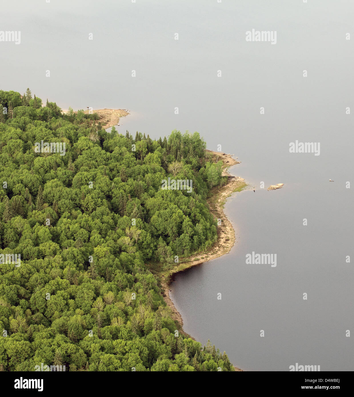 Aerial view green forest river hi-res stock photography and images - Alamy