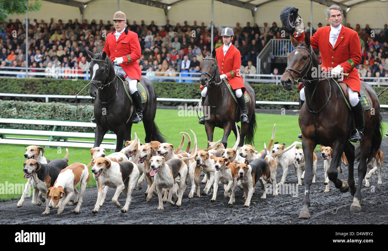 The so-called 'Niedersachsenmeute', including a pack of fox hounds, are ...