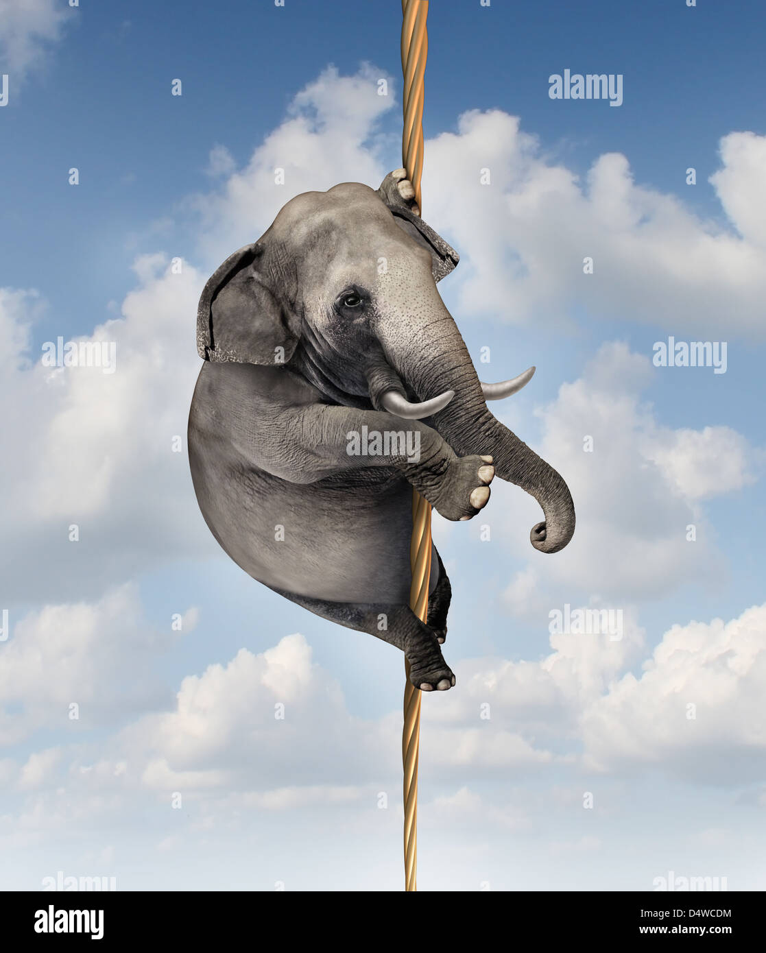 Strong determination managing risk and uncertainty with a large ...