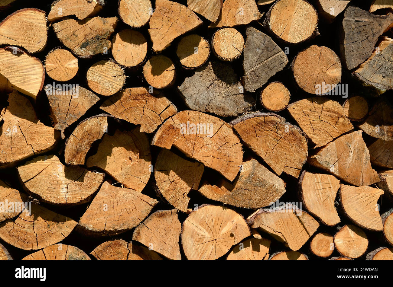 Background of cross section of wood Stock Photo - Alamy