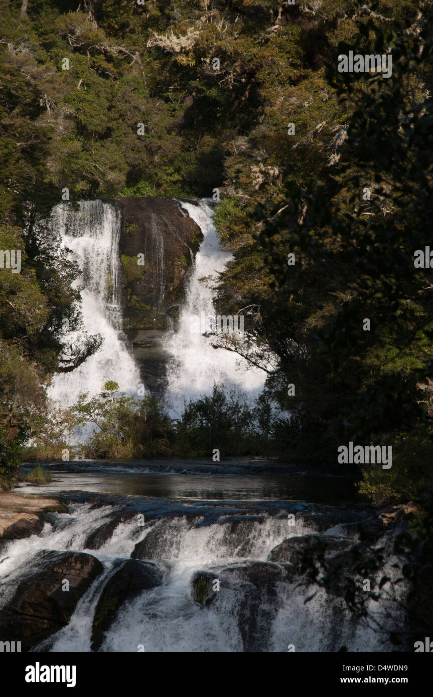 Aniwaniwa Falls (Rainbow Falls) in New Zealand's Te Urewera National ...