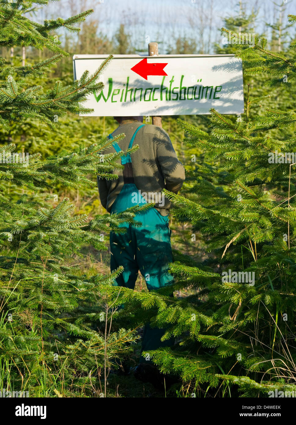 Templeberg hi-res stock photography and images - Alamy