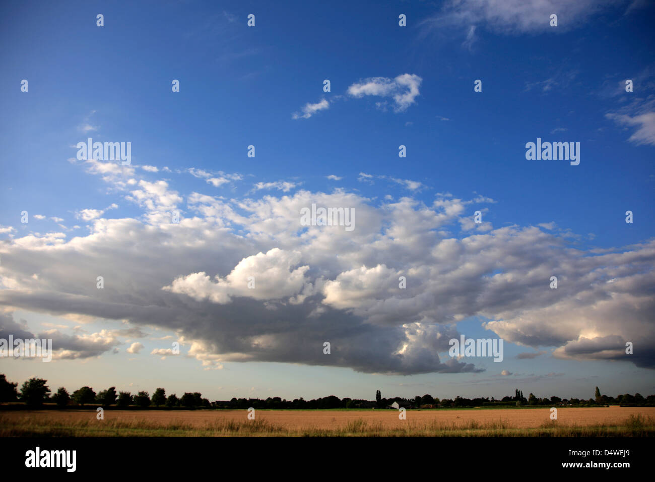 Congestus hi-res stock photography and images - Alamy