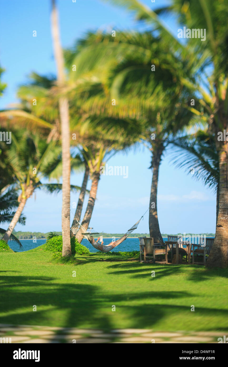 Man under palm tree hi-res stock photography and images - Alamy