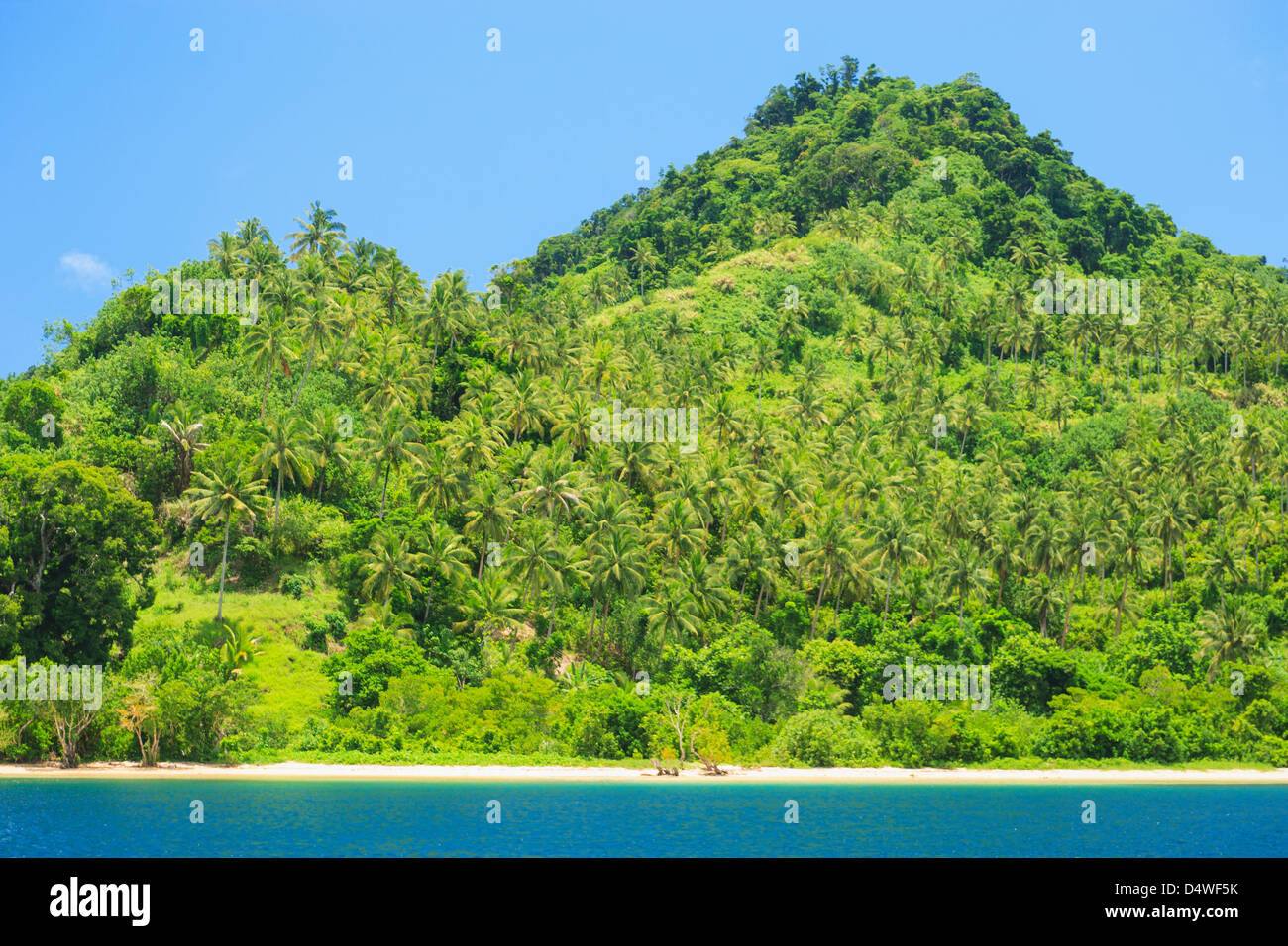 Palm trees on hilly tropical island Stock Photo - Alamy