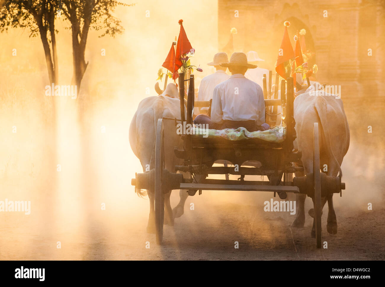 Myanmar Burma Bagan Bullock Cart High Resolution Stock Photography and ...