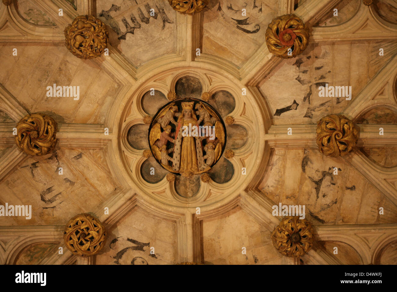 Winchester cathedral ceiling abstract Stock Photo - Alamy