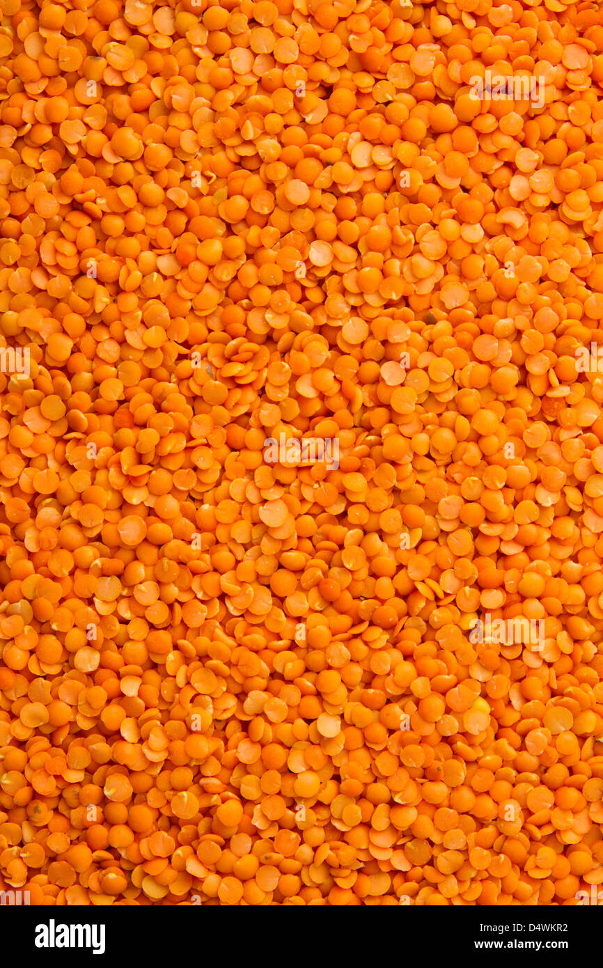 Raw red lentils filling the frame Stock Photo - Alamy