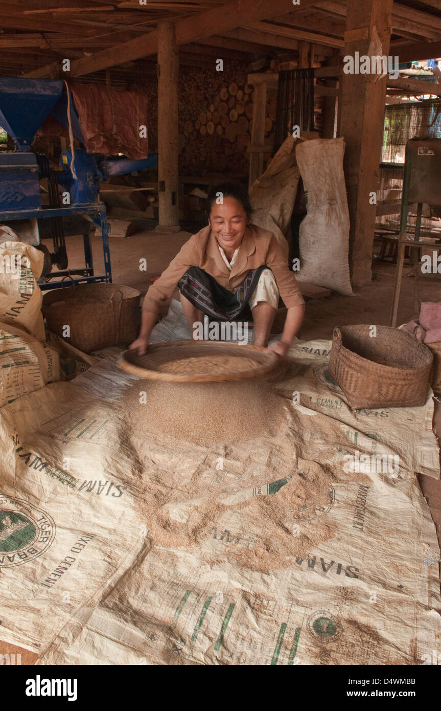 Woman sifting rice hi-res stock photography and images - Alamy